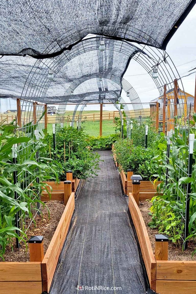 Raised Bed Garden Extension - Roti n Rice