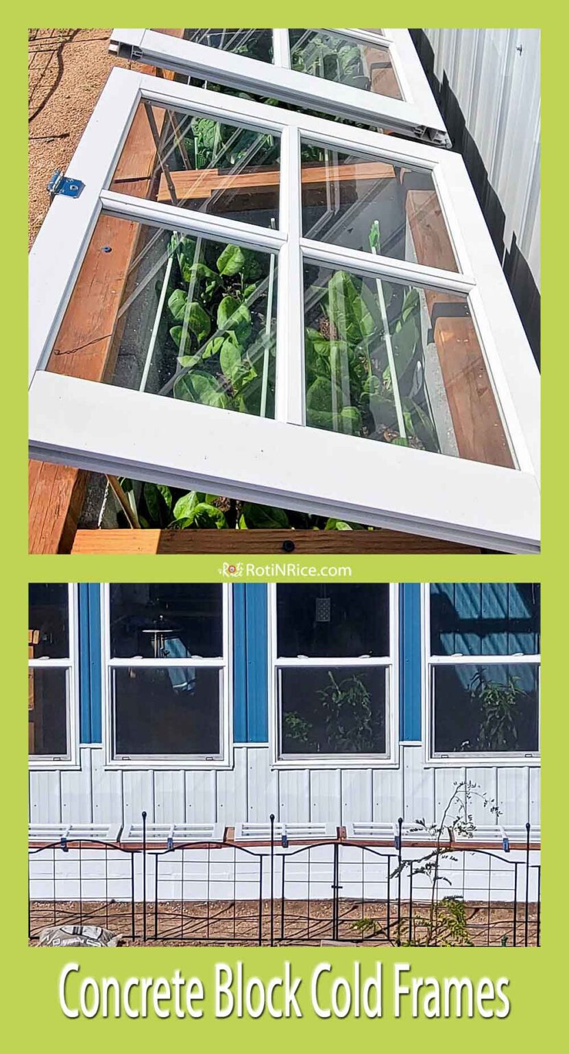 Concrete Block Cold Frames - Roti n Rice